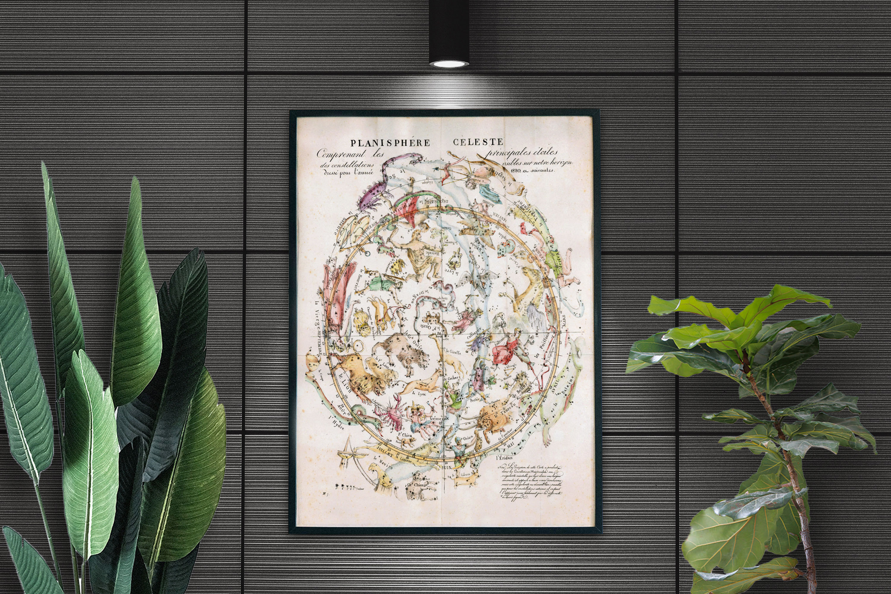 Old Celestial Map, Vintage Astronomy, Vintage Map Poster, Vintage ...