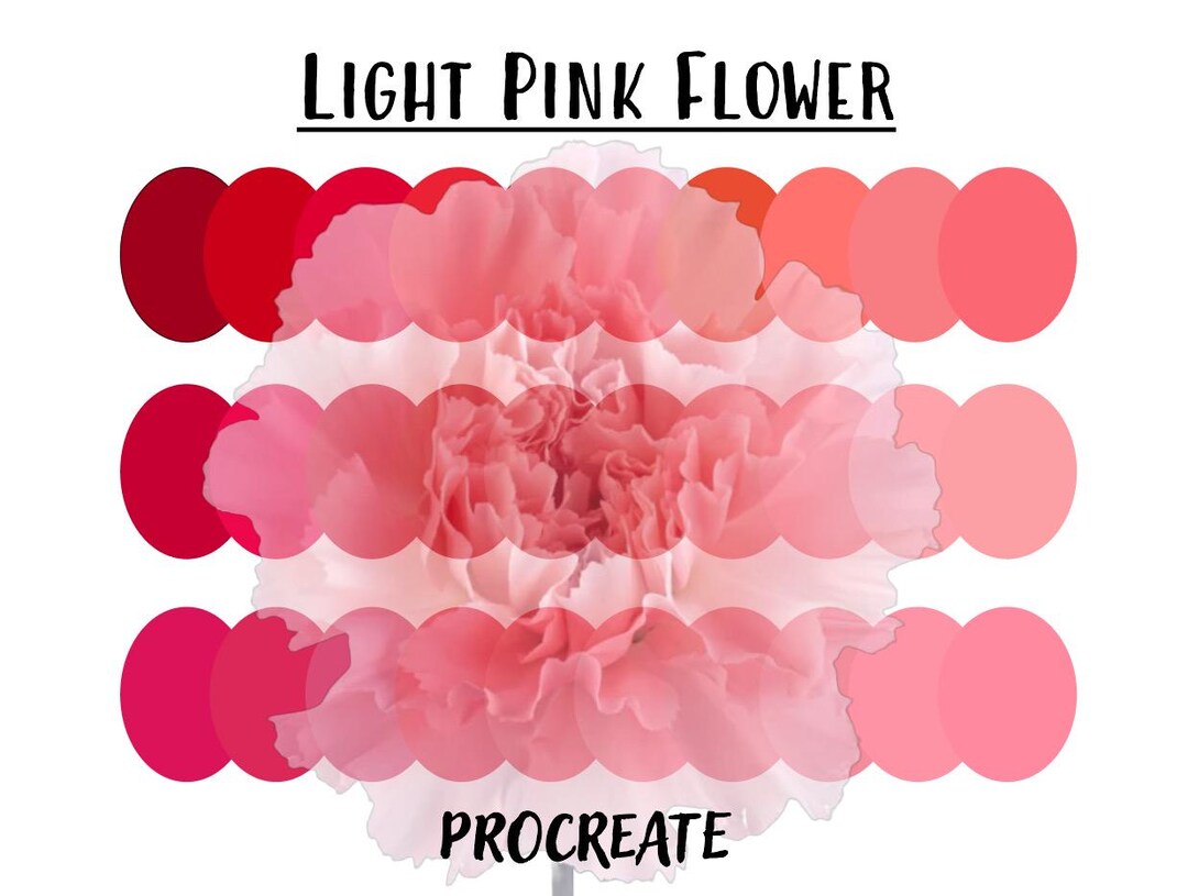 Light Pink Flower Colors Procreate Palettecolor Picker Download ...