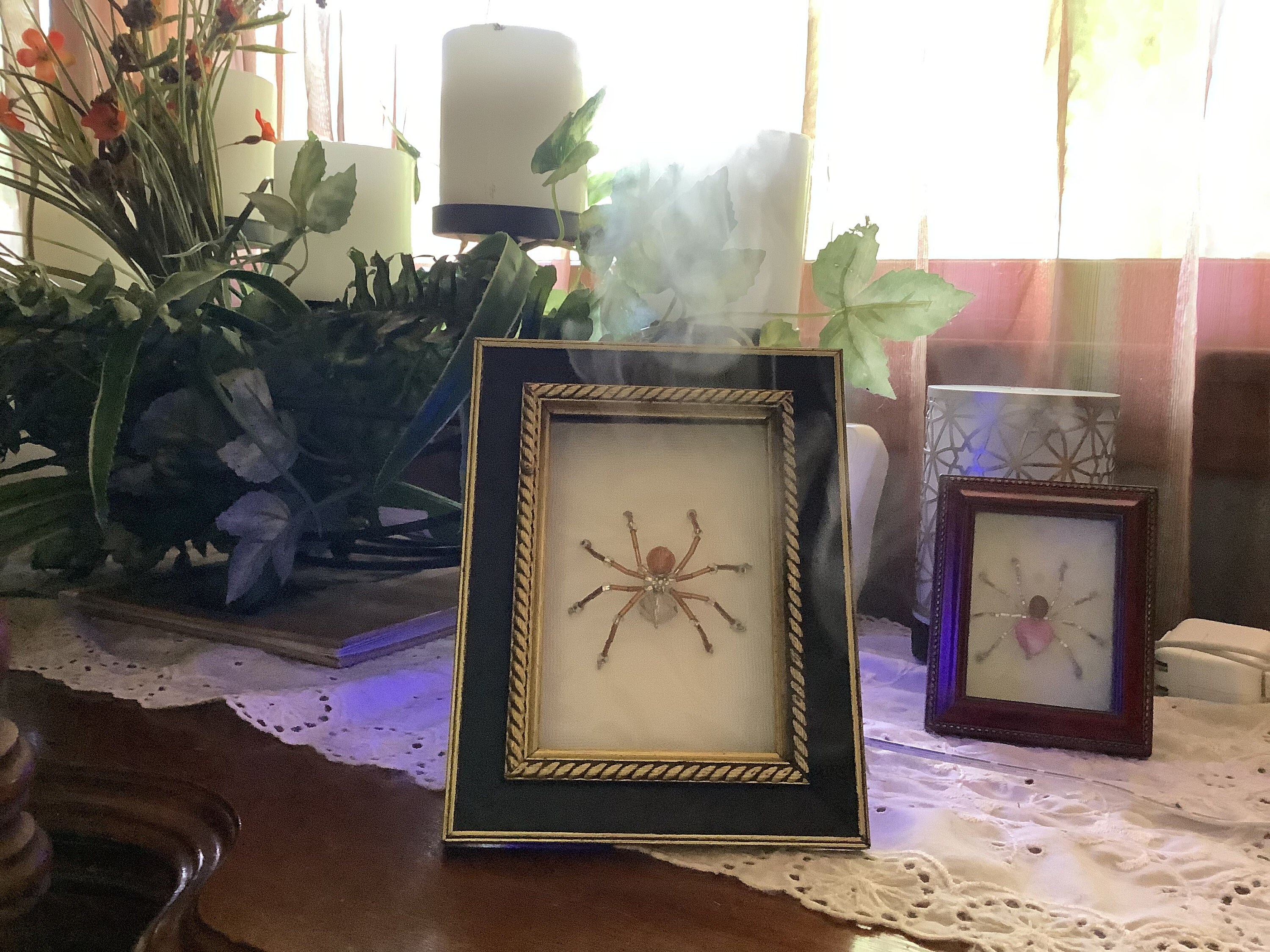 Beaded Spider in Black and Gold Frame - Etsy