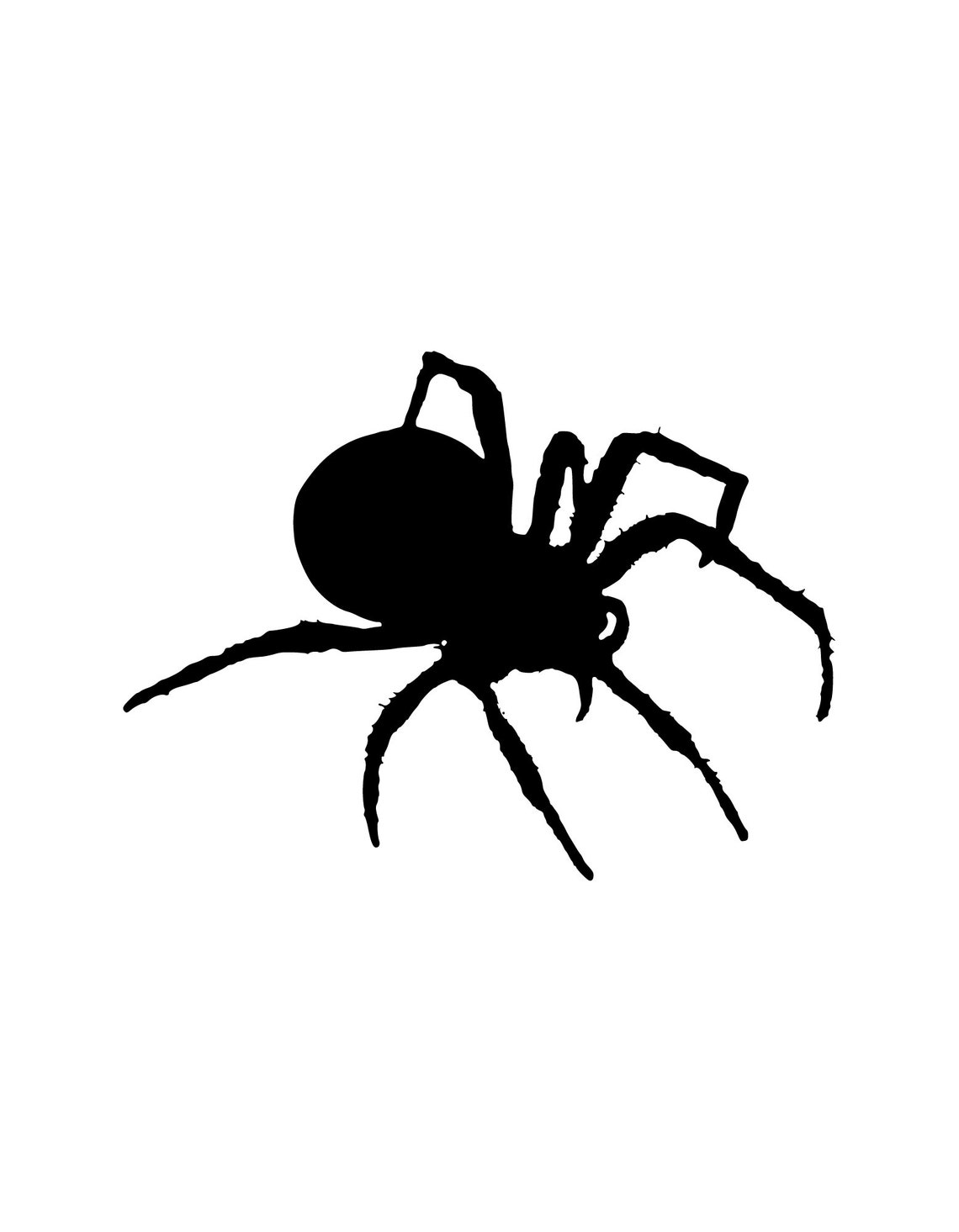 Spider SVG Files for Cricut - Instant Digital Download, Perfect for DIY ...