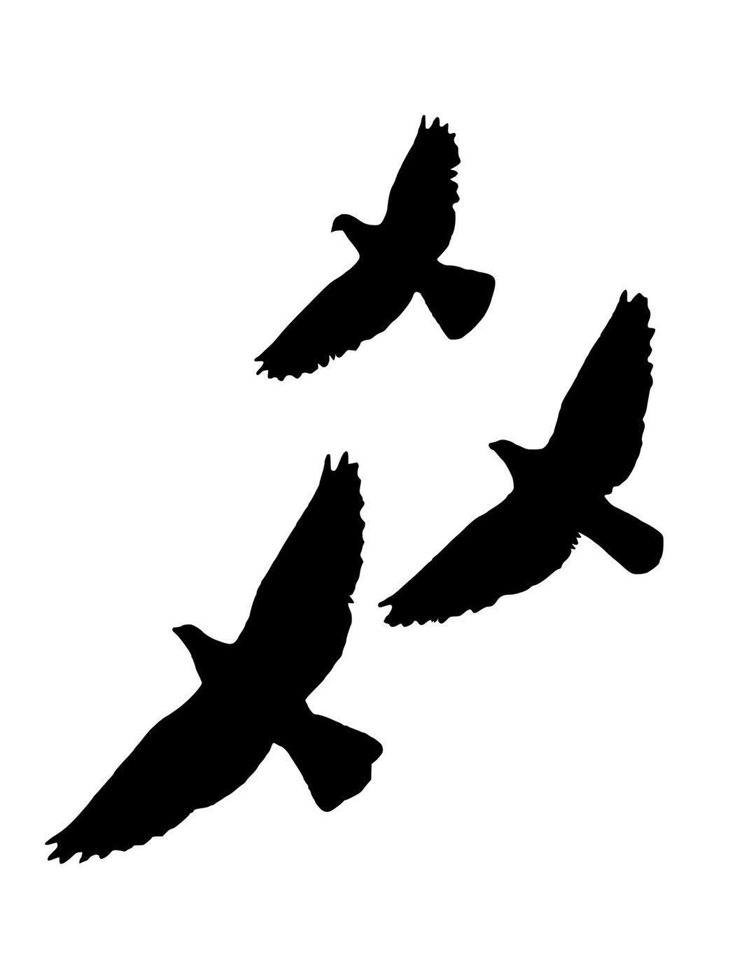Birds SVG Files for Cricut - Instant Digital Download, Perfect for DIY ...