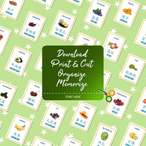 Printable 60 Chinese Fruit and Nut Flashcards | Instant Language ...