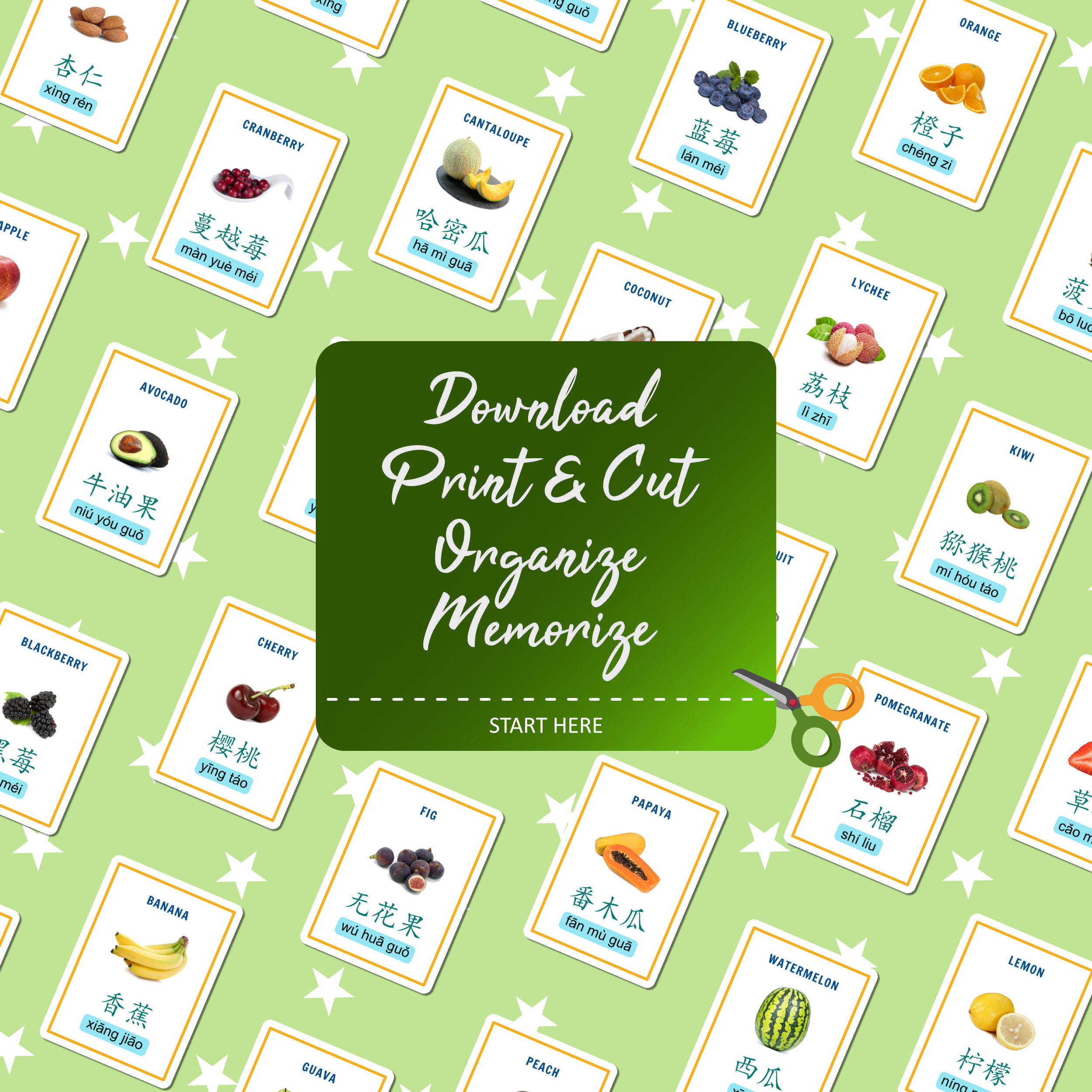 60 Chinese Fruit and Nut Flashcards | Language Learning (digital ...
