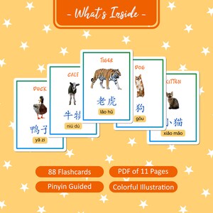 Printable 88 Chinese Animal Flashcards | 11 Pages of Vibrant ...