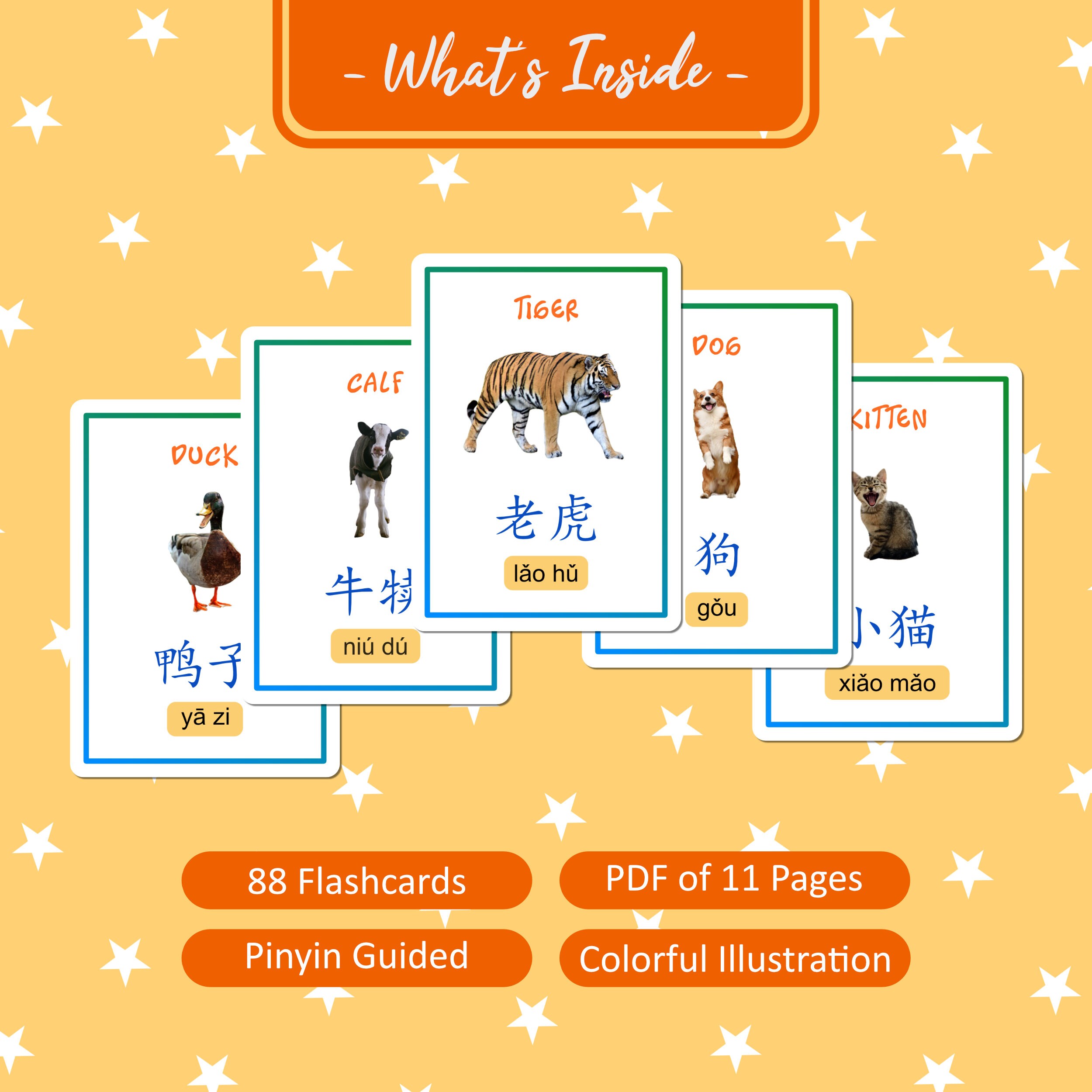 Printable 88 Chinese Animal Flashcards | 11 Pages of Vibrant ...