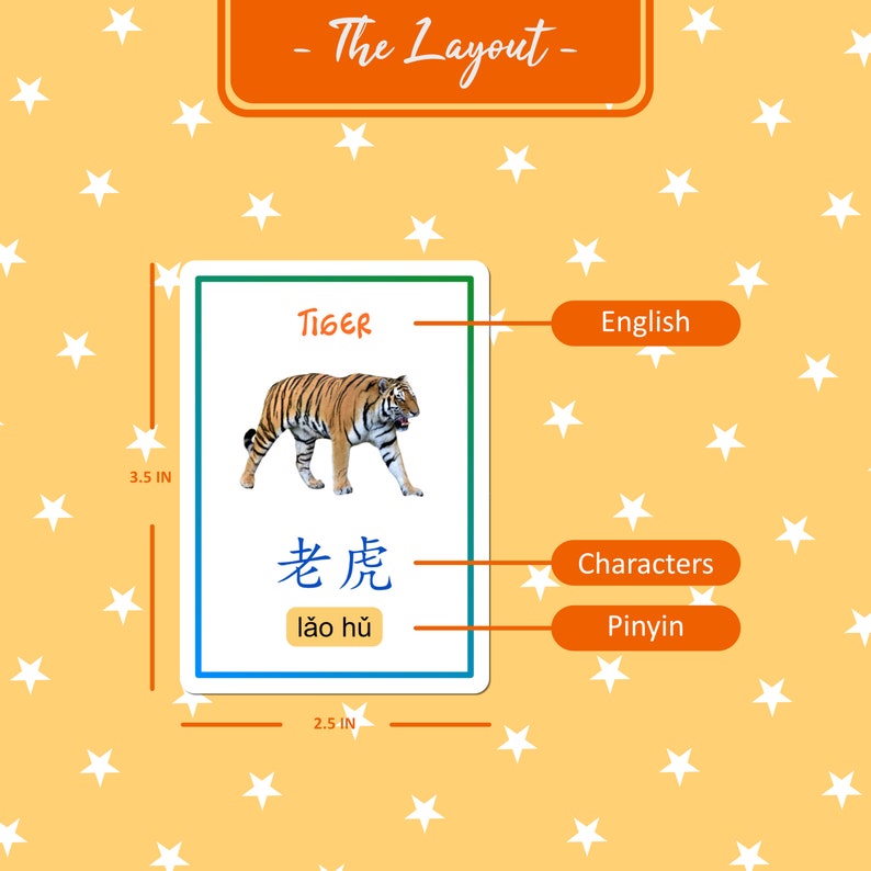 Printable 88 Chinese Animal Flashcards | 11 Pages of Vibrant ...