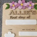 School Photo Prop Flowers, First Day of School Board, First and Last ...