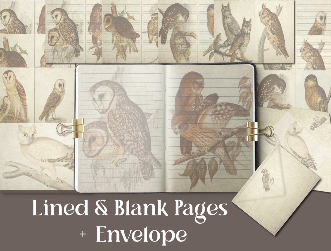 Blank and Lined Vintage Journal Pages Printable Vintage Owl Junk ...
