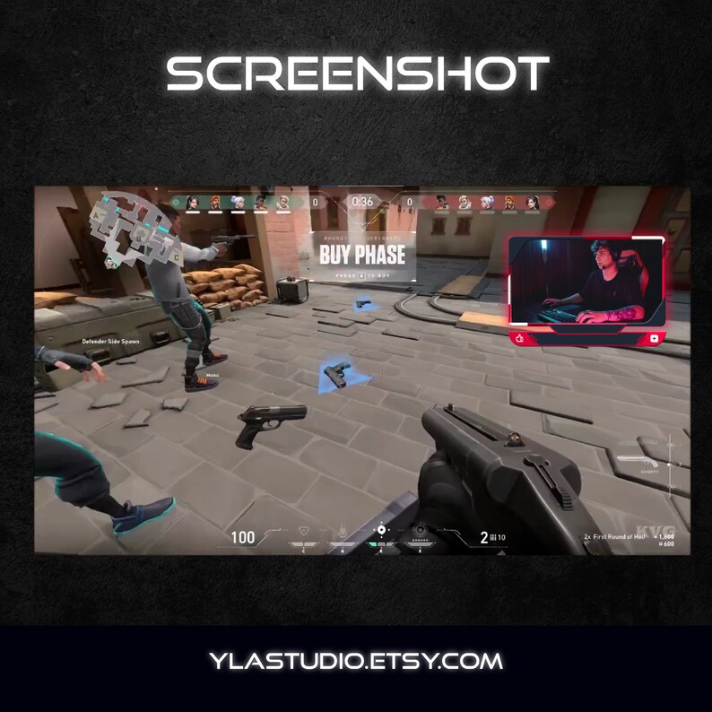 Elegant Animated Webcam Overlay / Facecam Overlay for Twitch OBS ...