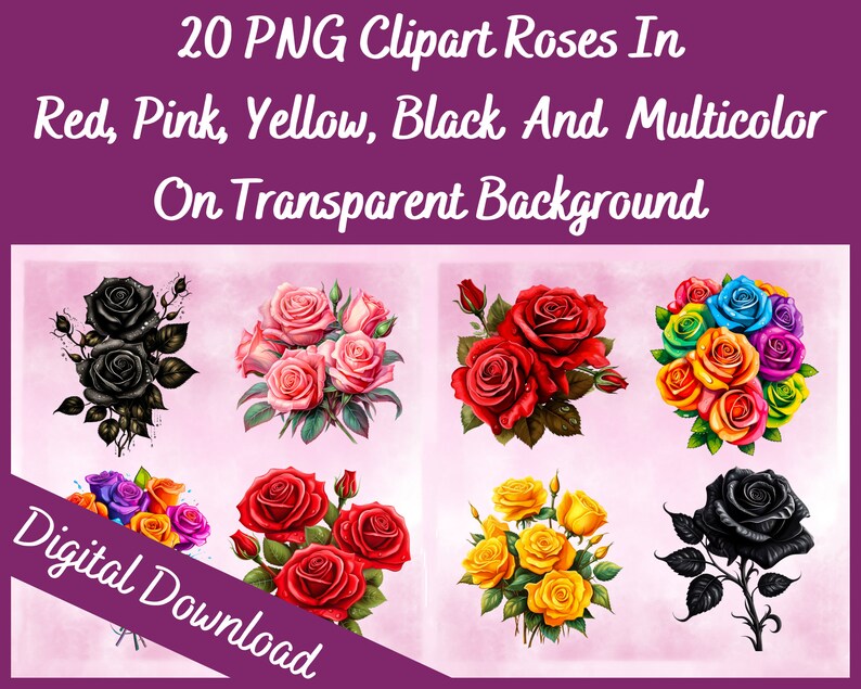 Rose Clipart on Transparent Background Digital Download - Etsy