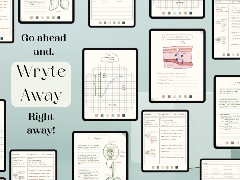 Digital Hyperlinked Notebook Anatomy and Physiology Note Taking ...