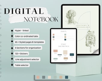 Anatomy and Physiology Note Taking Template - Etsy