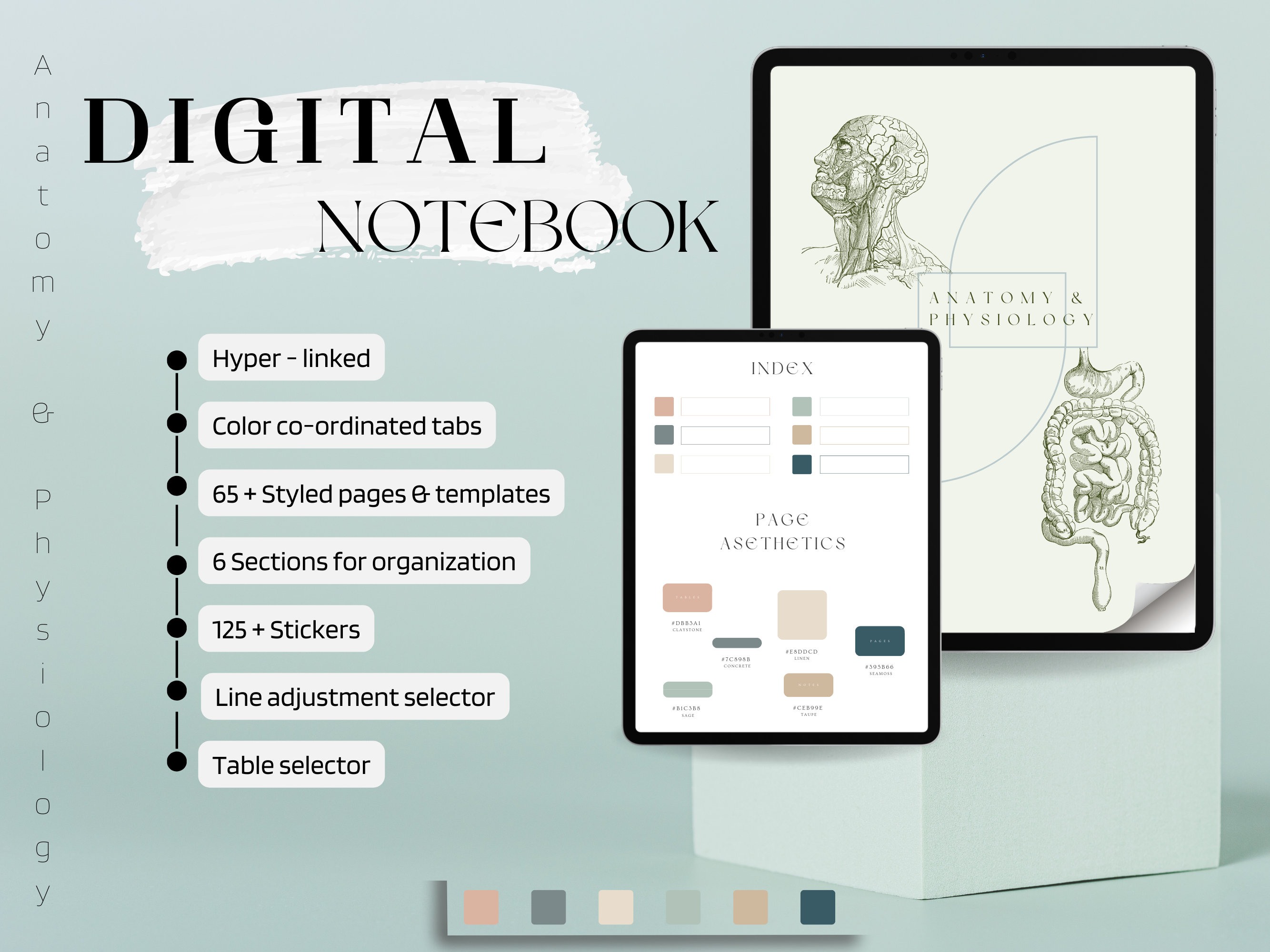 Anatomy & Physiology Digital Notebook: Hyperlinked Student Planner ...
