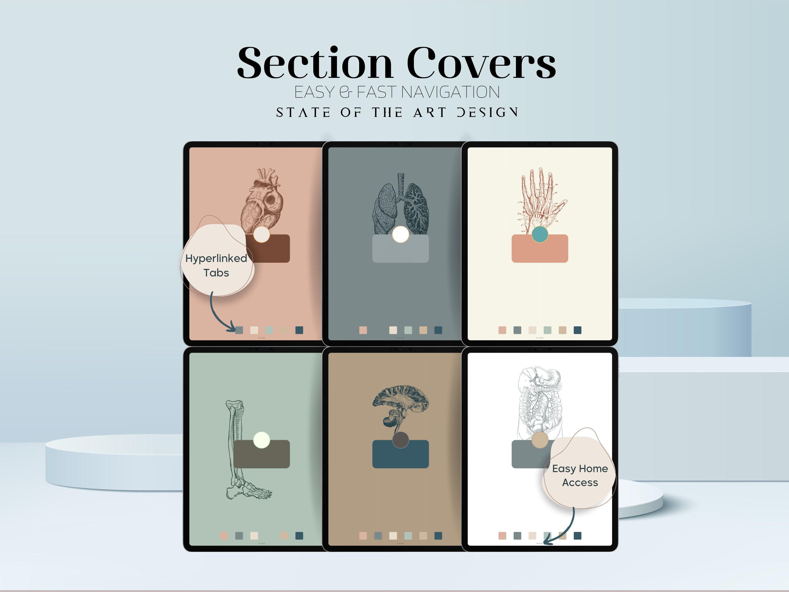 Anatomy & Physiology Digital Notebook: Hyperlinked Student Planner ...