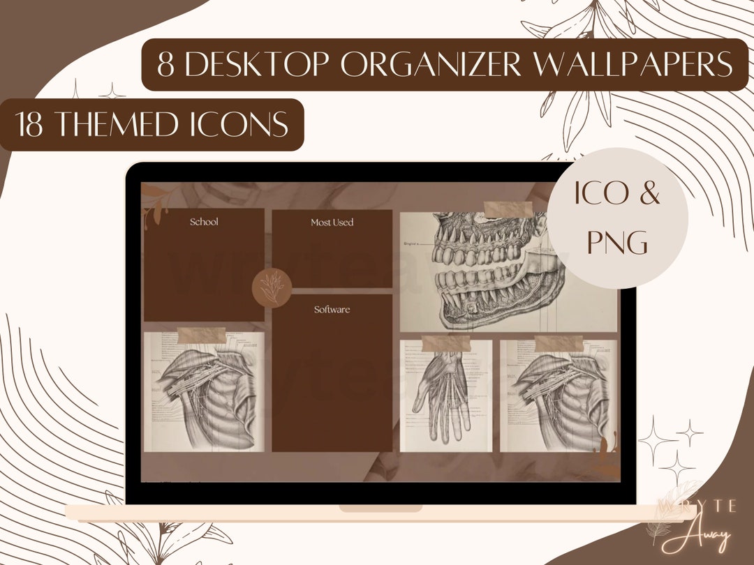 Anatomy Desktop Wallpaper Organizer | Medical Aesthetic, Icons (digital ...