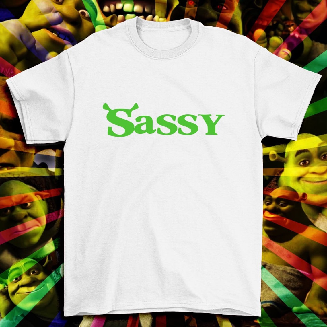 Shrek Sassy T-shirt/ Shrek Gift/ Funny Shrek/ Ironic/ Bitchy/ Humour ...