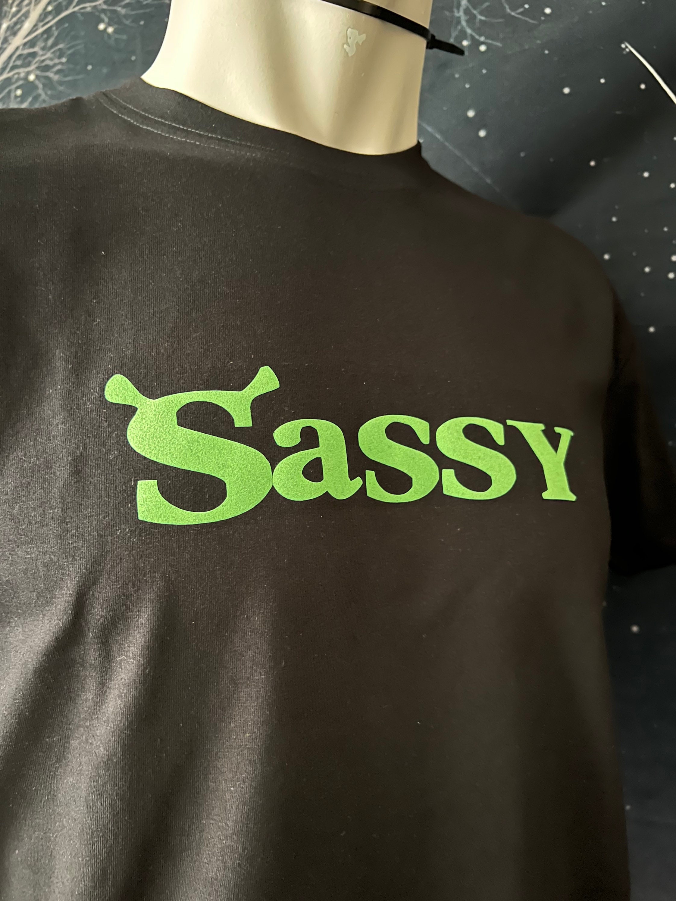 Shrek Sassy T-shirt/ Shrek Gift/ Funny Shrek/ Ironic/ Bitchy/ Humour ...