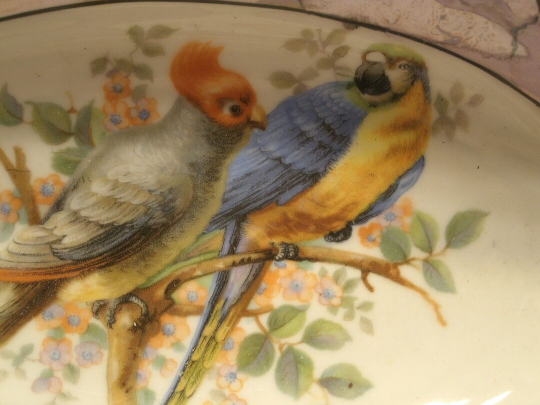 Antique German 'parrot' Dish - Etsy