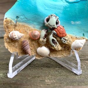 Sea Turtle, Shelf Table Sitter, Oyster Shell, Nautical Decor, Gifts for ...