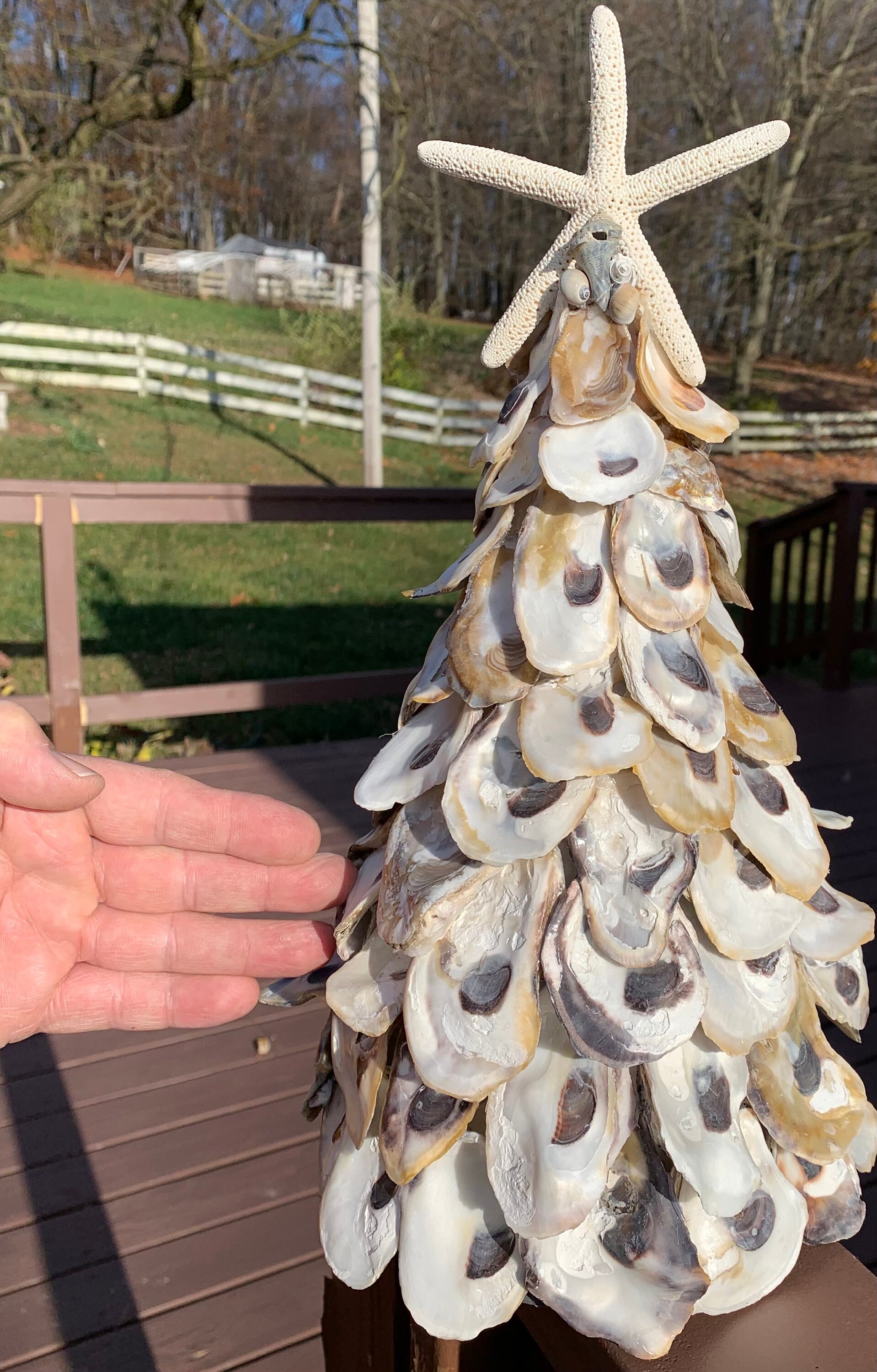 Extra Large Oyster Shell Tree - Etsy