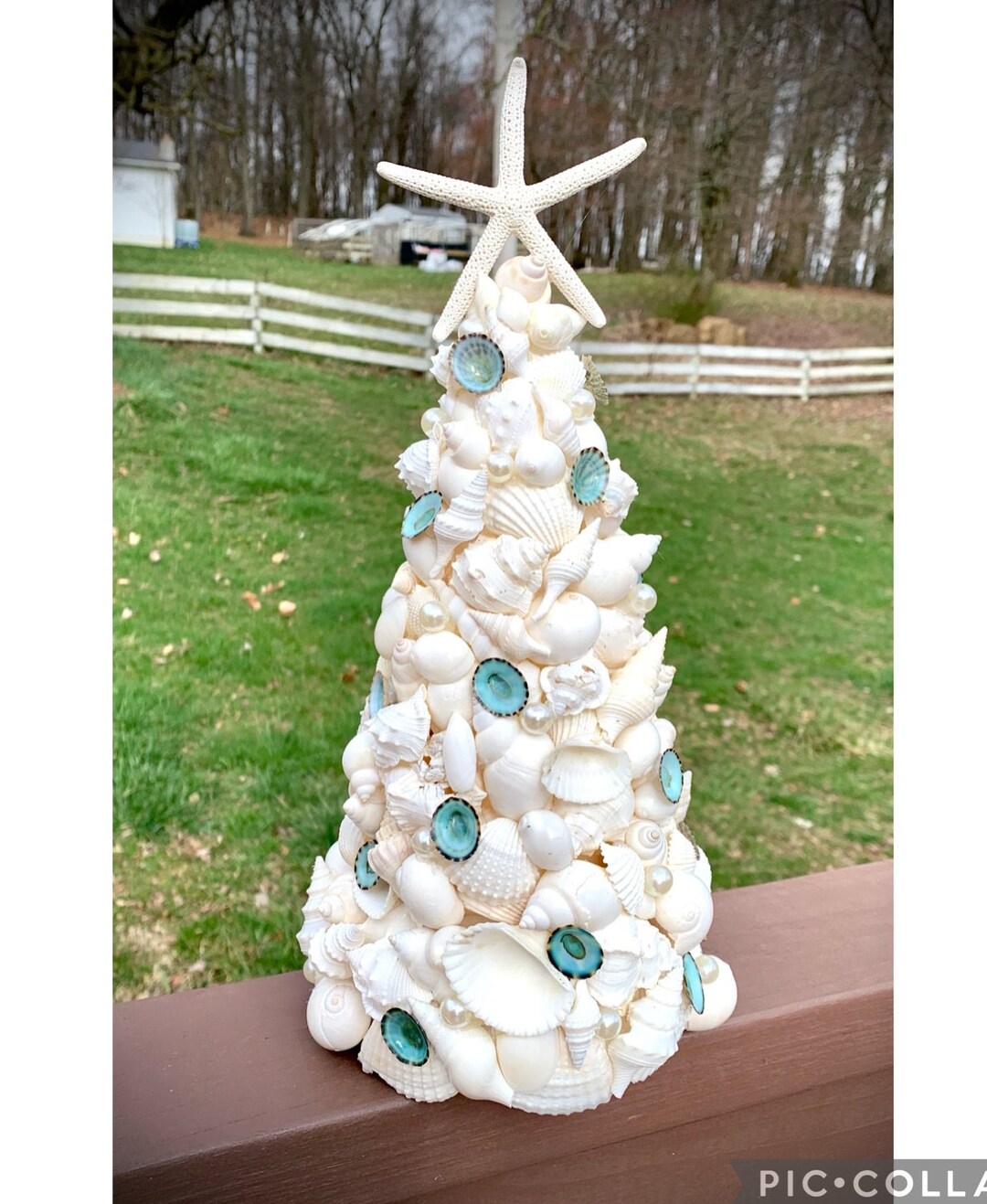 Seashell Tree, Rustic Coastal, Nautical Beach, OBX, Holiday Item ...