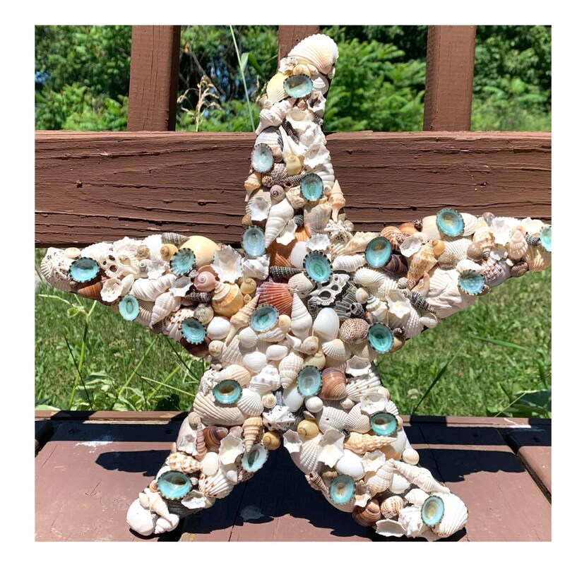 Large Seashell Wall Art - Etsy