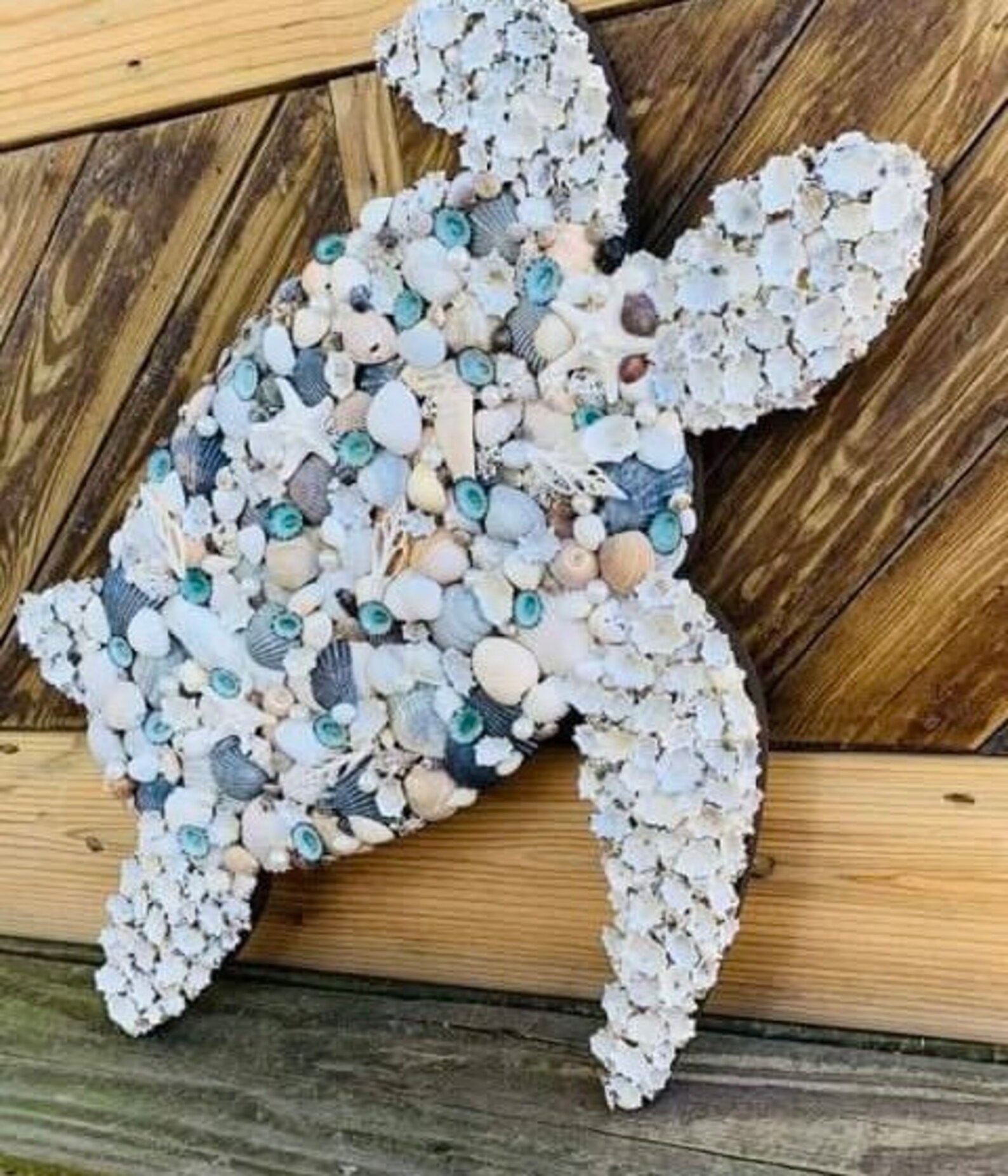 Seashell Turtle Wall Art Local Seashell Beach House Gifts - Etsy