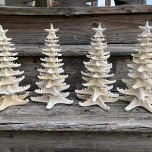 Starfish Tree 11, Outer Banks, Free Shipping, Family Gift, Coastal ...