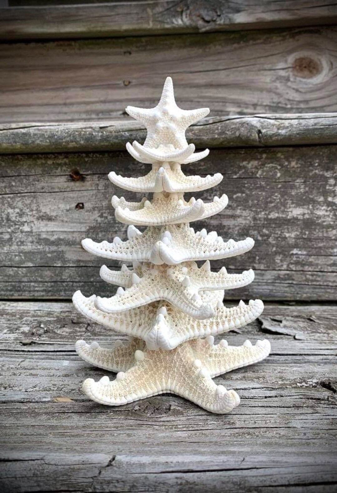 Starfish Tree 11, Outer Banks, Free Shipping, Family Gift, Coastal ...