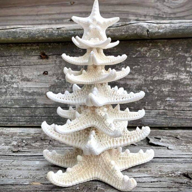 Starfish Home Decor - Etsy