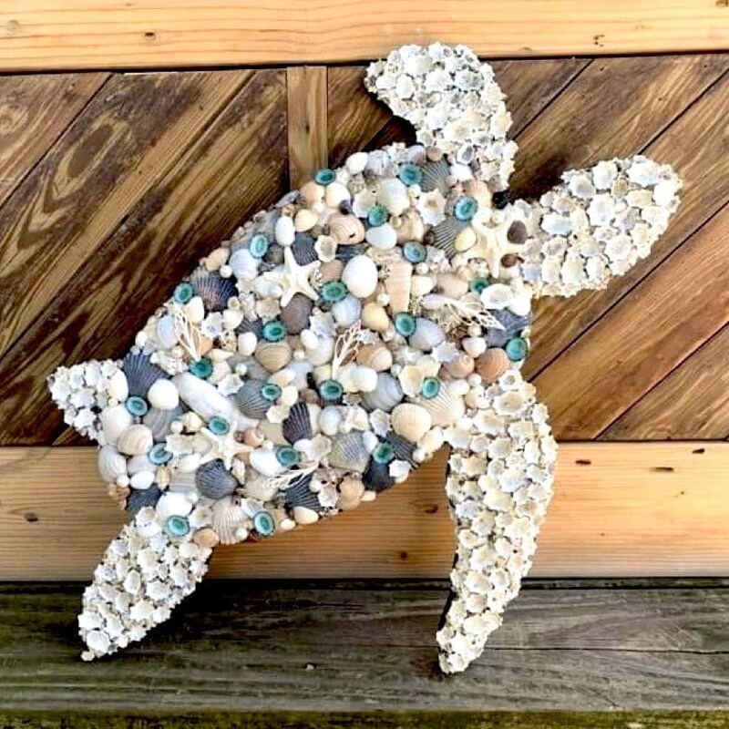 Seashell Turtle - Etsy