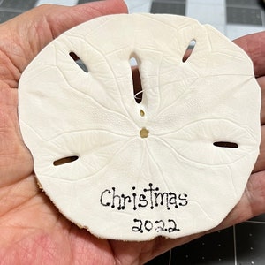 Sea Turtle Shelf Table Sitter Oyster Shell Nautical Decor - Etsy