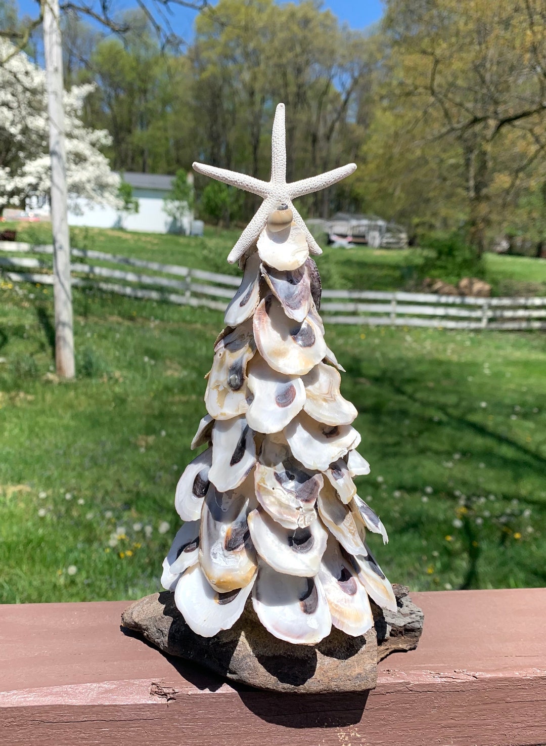 Oyster Shell Tree, Driftwood, Rustic Coastal, Nautical Beach, Outer ...