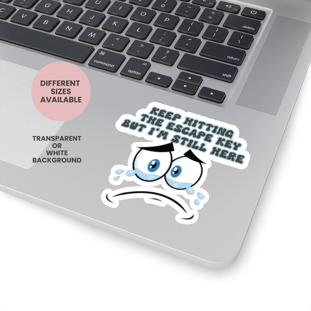 Funny Sticker Gift for Computer Tech Person, Computer Programmer ...