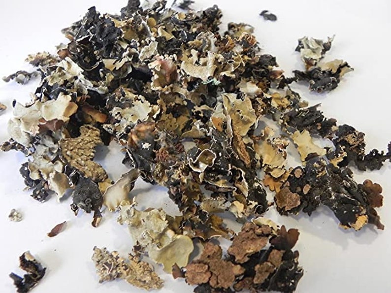 High Quality Dagad Phool Black Stone Flower Kalpasi Marapasi Dried ...