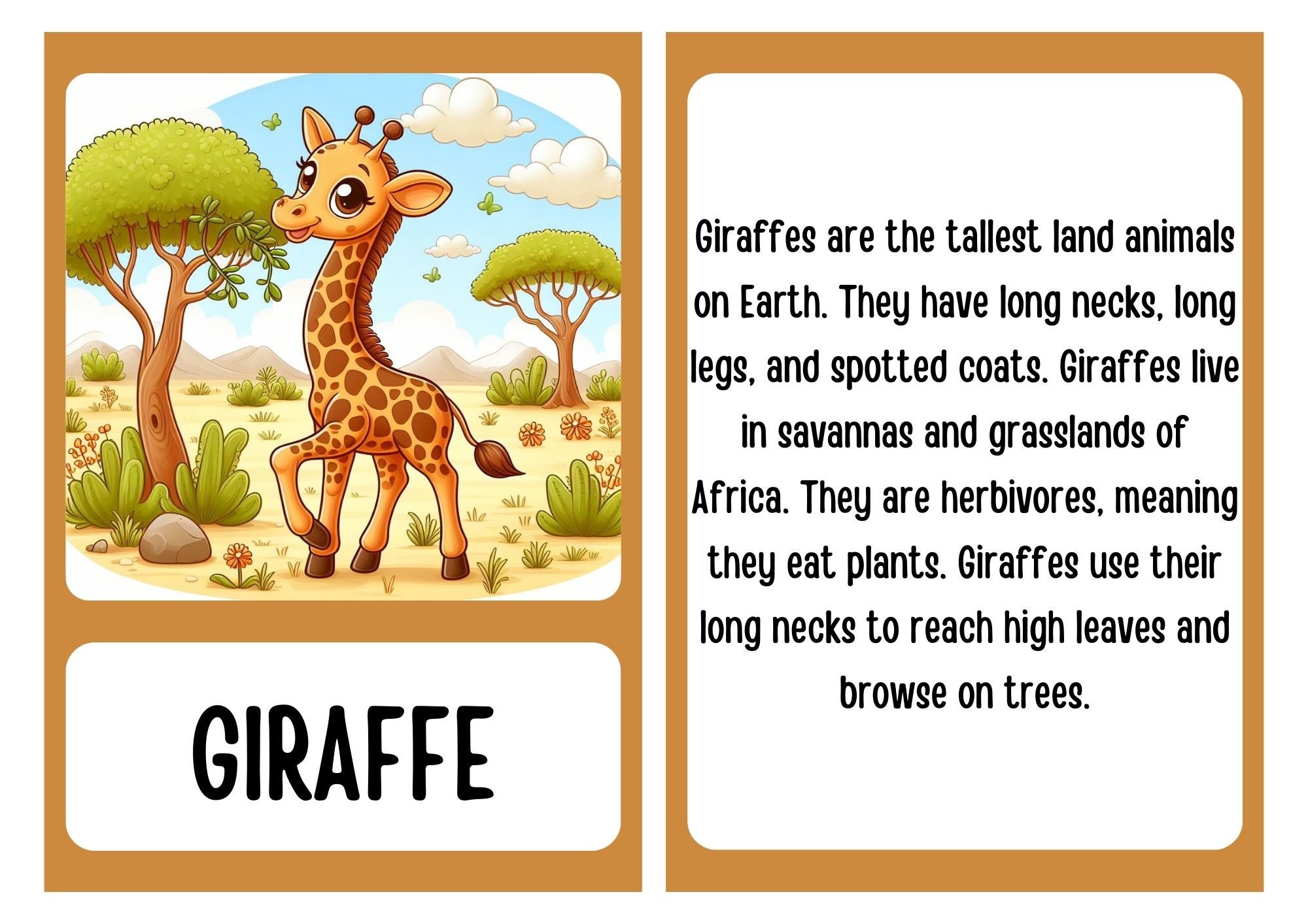 Animal Flashcards for Kids – Habitats Learning (PDF) - Etsy