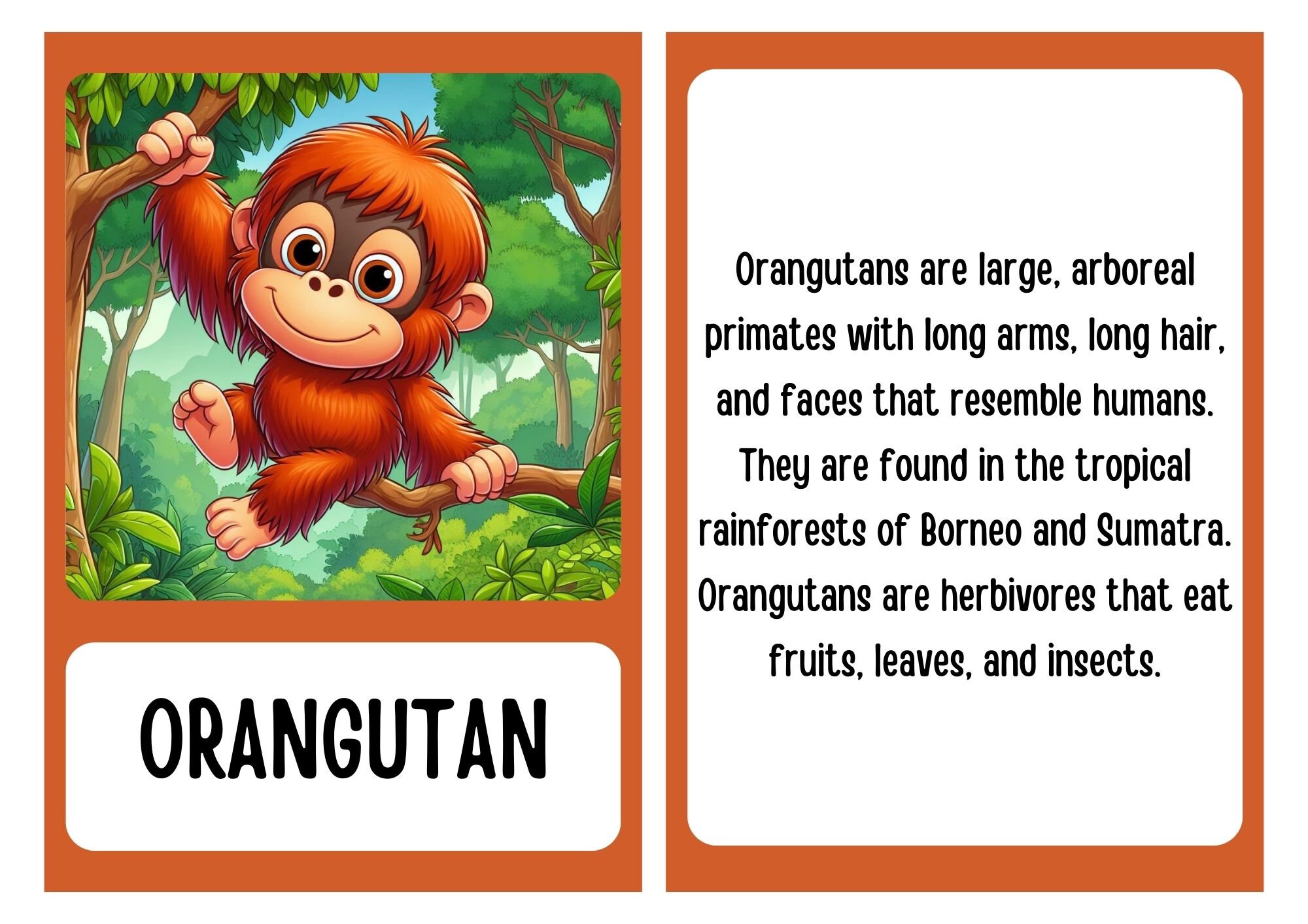 Animal Flashcards for Kindergarteners With Habitats - 30 Editable ...