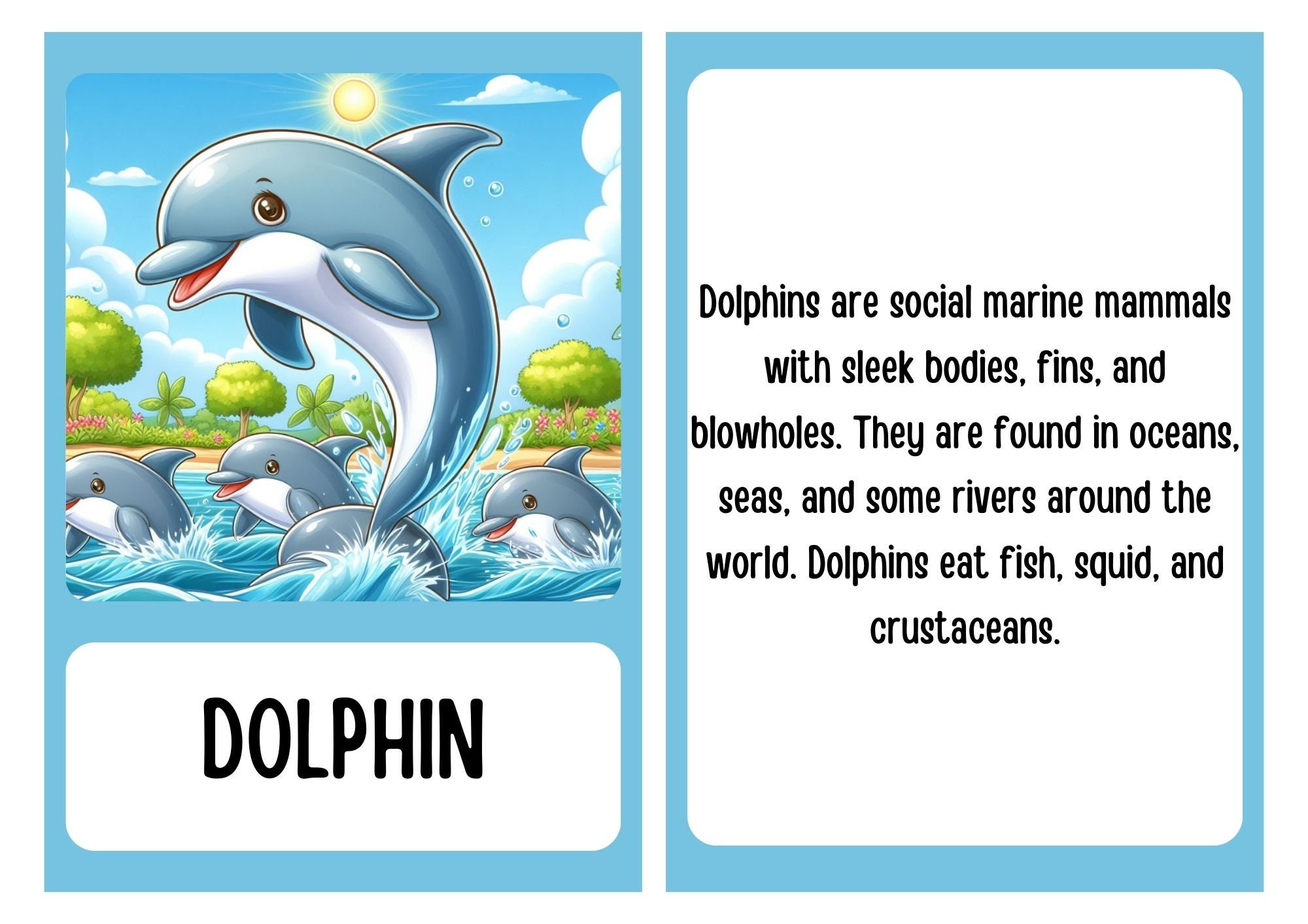 Animal Flashcards for Kindergarteners With Habitats - 30 Editable ...