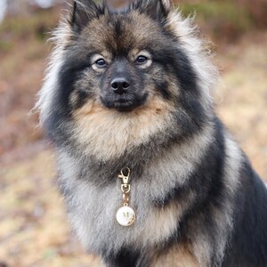 White and Gold Dog Tag | Custom Dog Tag | Personalized Dog Tag ...