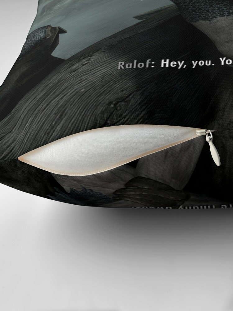 Ralof Finally Awake Square Funny Cushion Cover Only, Skyrim Meme ...