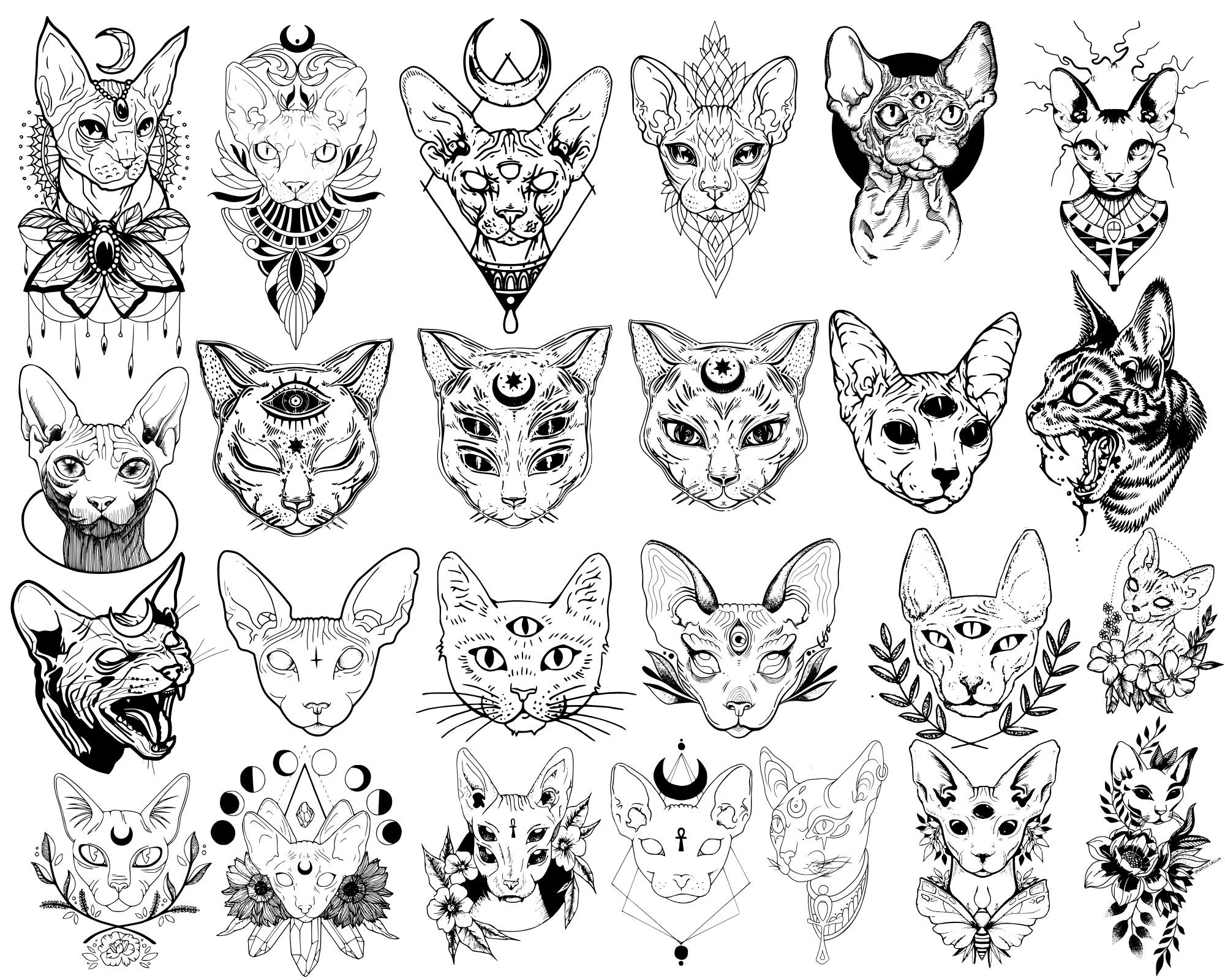 Sinister Cat Drawing