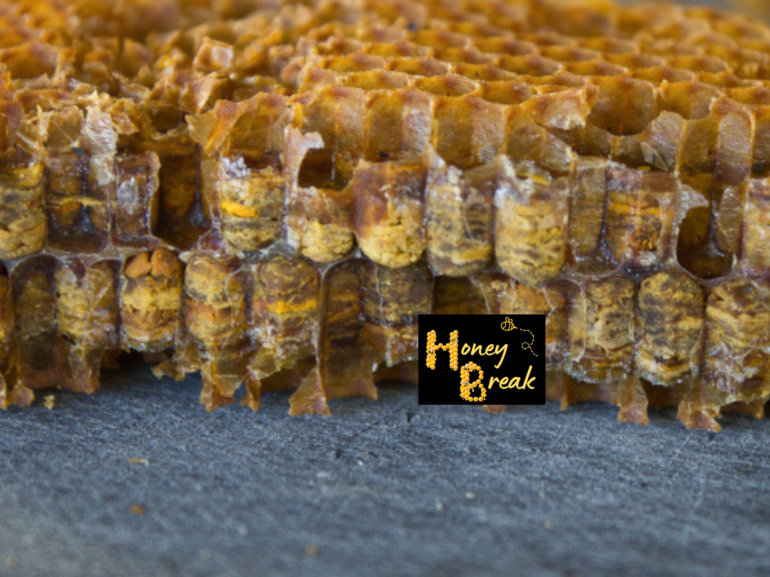 100% Bee Bread Raw and Pure - Bees Bread / Perga, Probiotic and ...