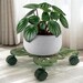 Luxurious and Elegant Golden Butterfly Metal Plant Stand Available ...
