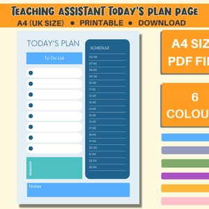 Teaching Assistant Today's Plan Page - 6 Colours - Primary or Secondary ...