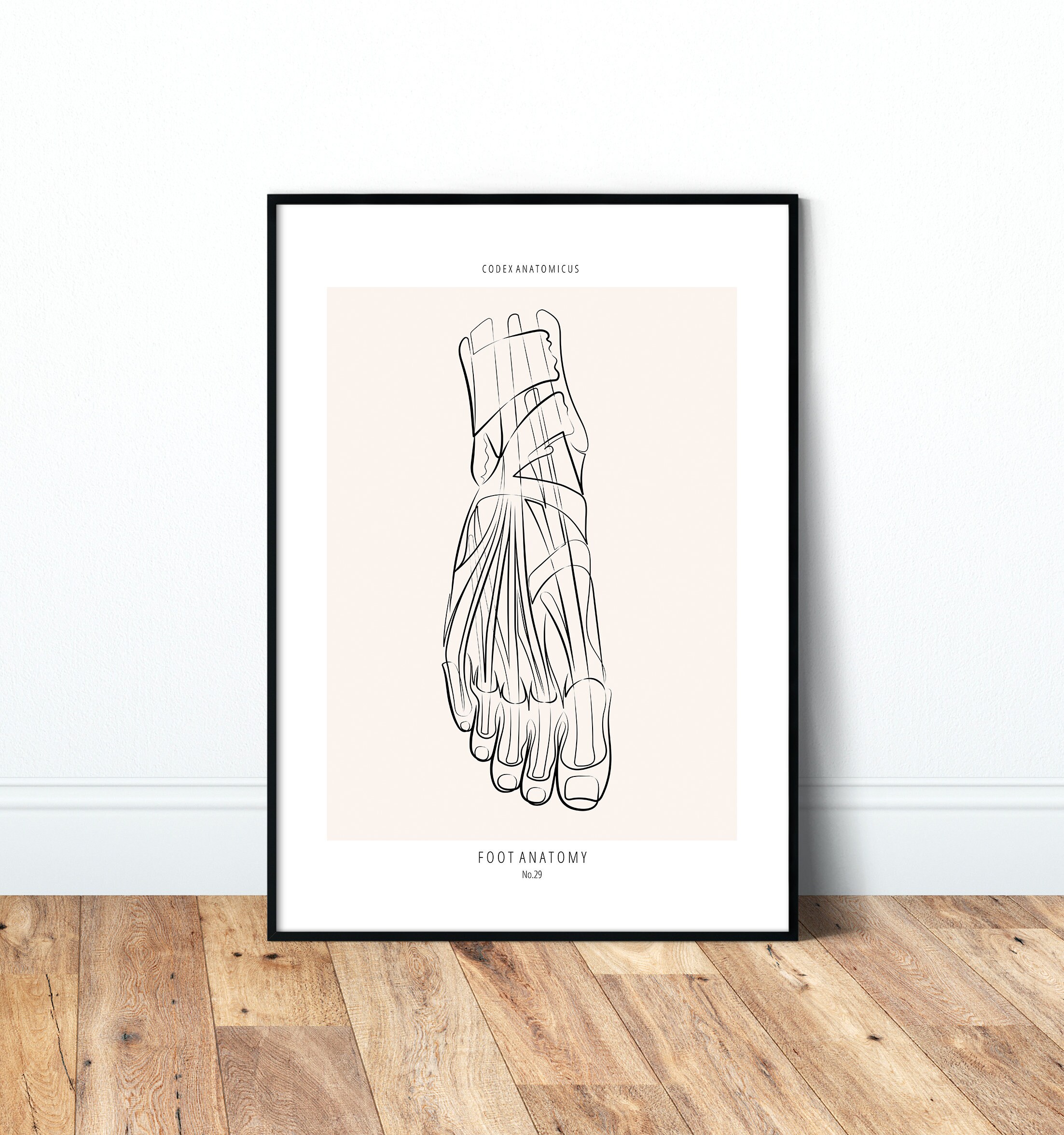 Podiatry Wall Art Foot Anatomy Poster Physiotherapy Print - Etsy UK