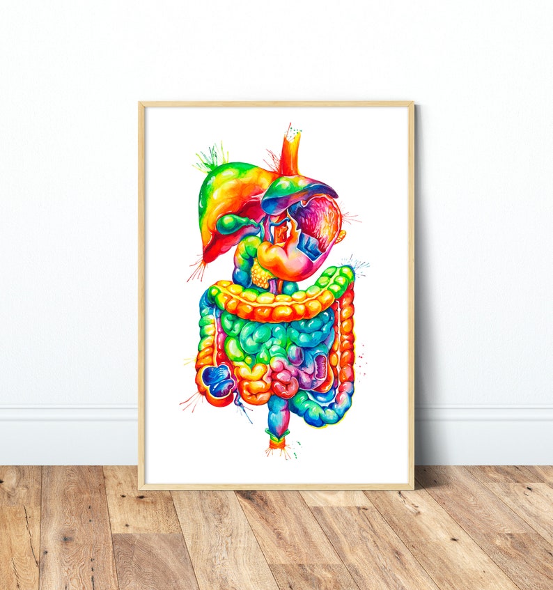 Watercolor Anatomy Poster Gastroenterology Art Intestines - Etsy