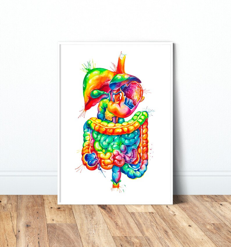 Watercolor Anatomy Poster Gastroenterology Art Intestines - Etsy