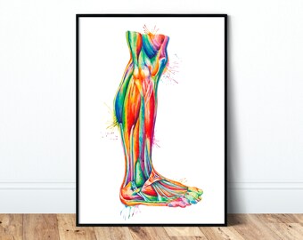 Physio Wall Art - Etsy