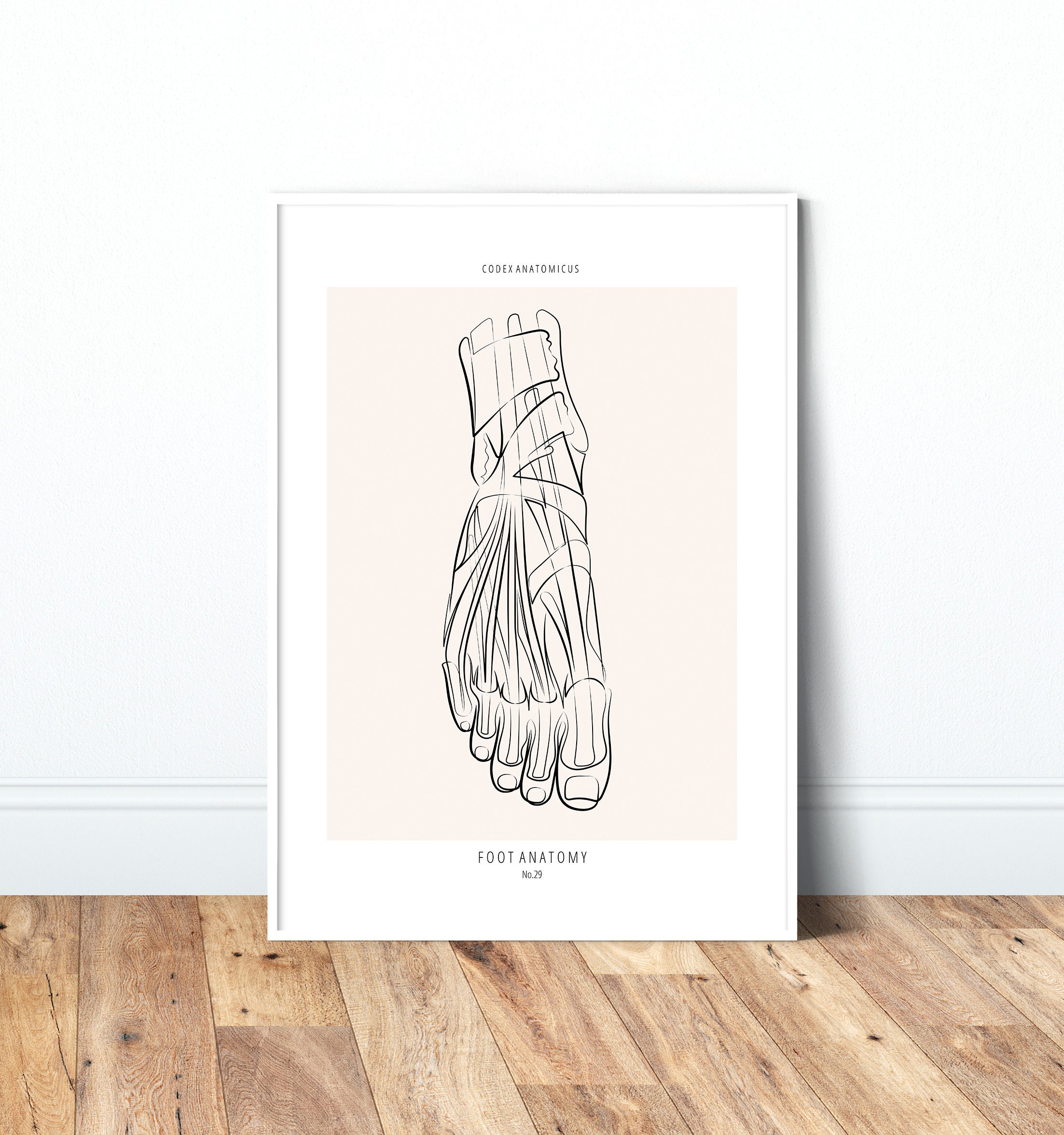 Podiatry Wall Art Foot Anatomy Poster Physiotherapy Print - Etsy UK