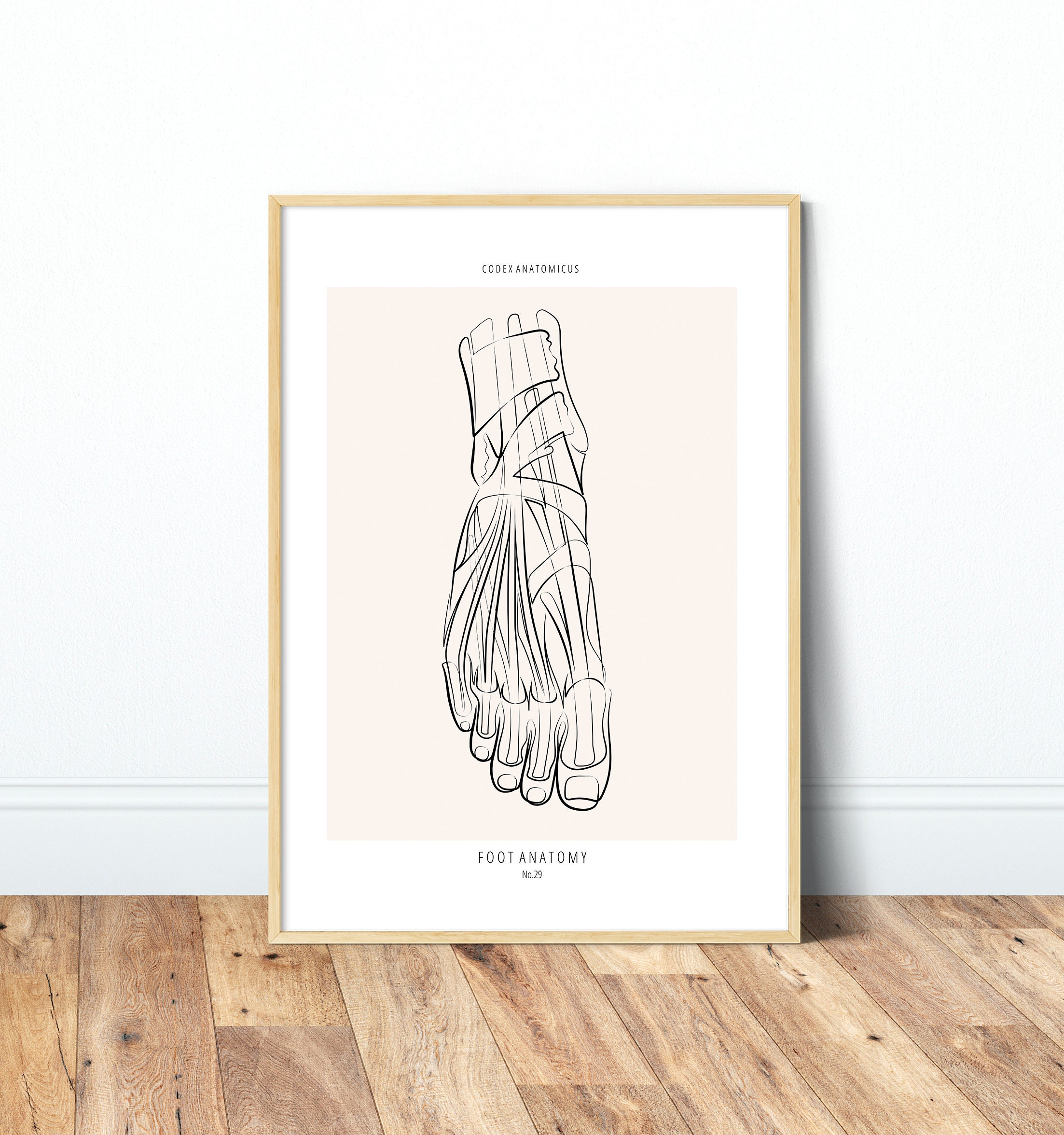 Podiatry Wall Art Foot Anatomy Poster Physiotherapy Print - Etsy UK